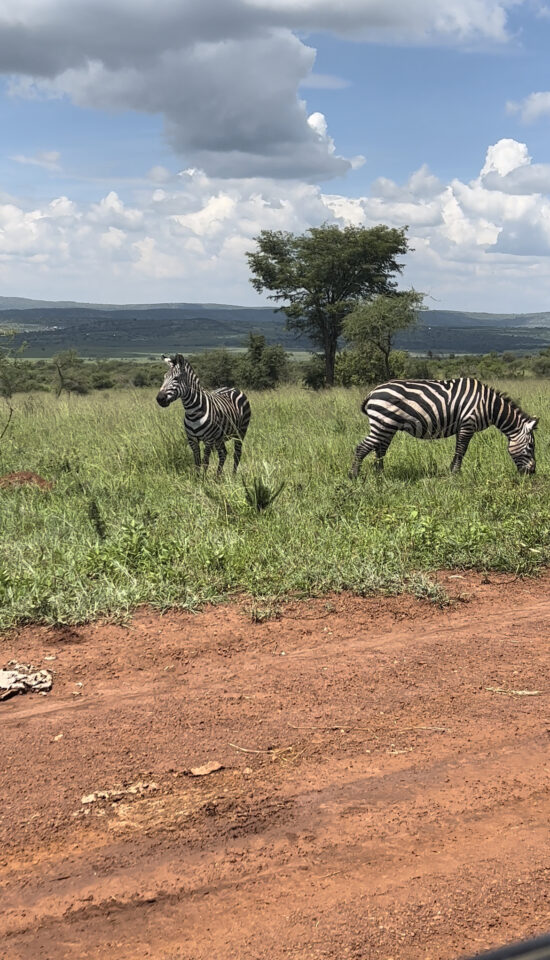 33 of the Best Things to Do in Rwanda - Being Christina Jane