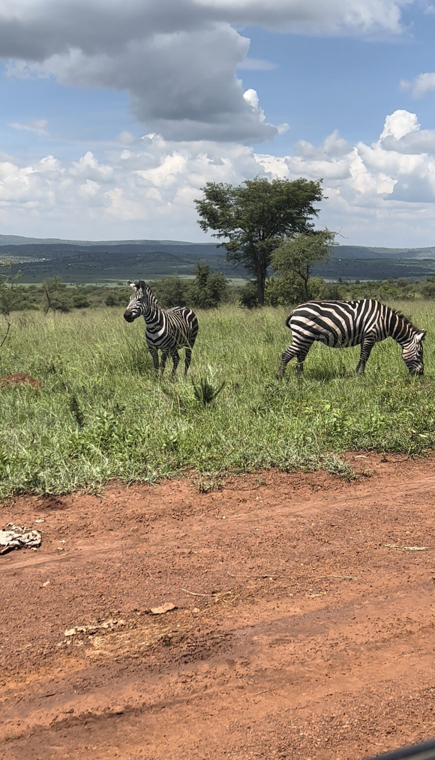 33 of the Best Things to Do in Rwanda - Being Christina Jane