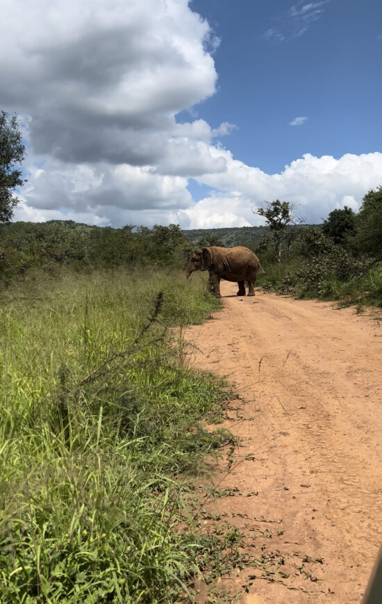 33 of the Best Things to Do in Rwanda - Being Christina Jane