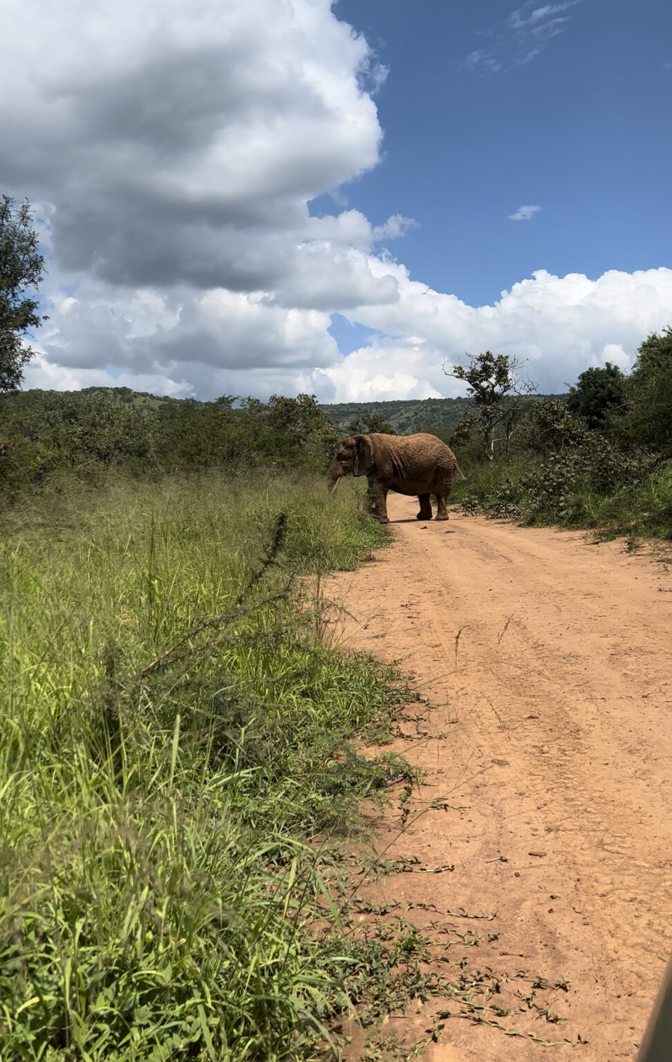 33 of the Best Things to Do in Rwanda - Being Christina Jane