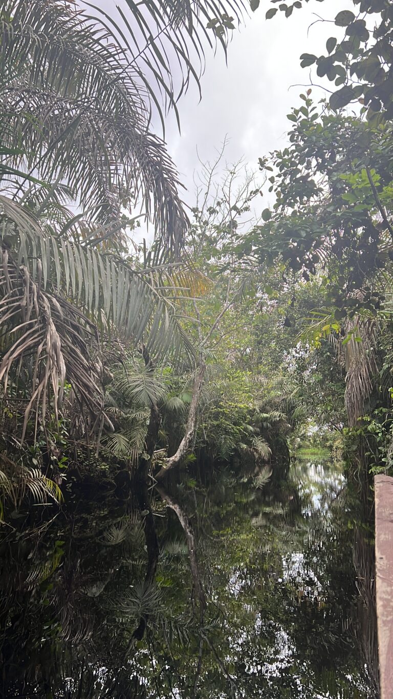 What You Need to Know About Visiting Nzulezu - Being Christina Jane