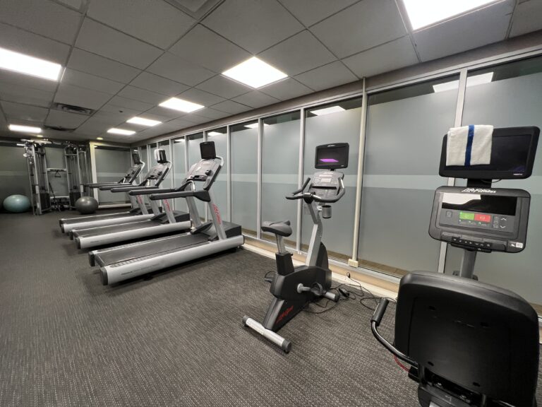 Toronto Travel Guide: How to Navigate Traveling in Toronto - Being ...