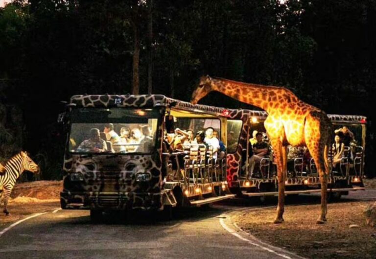 50 Things to Do in Chiang Mai - Being Christina Jane