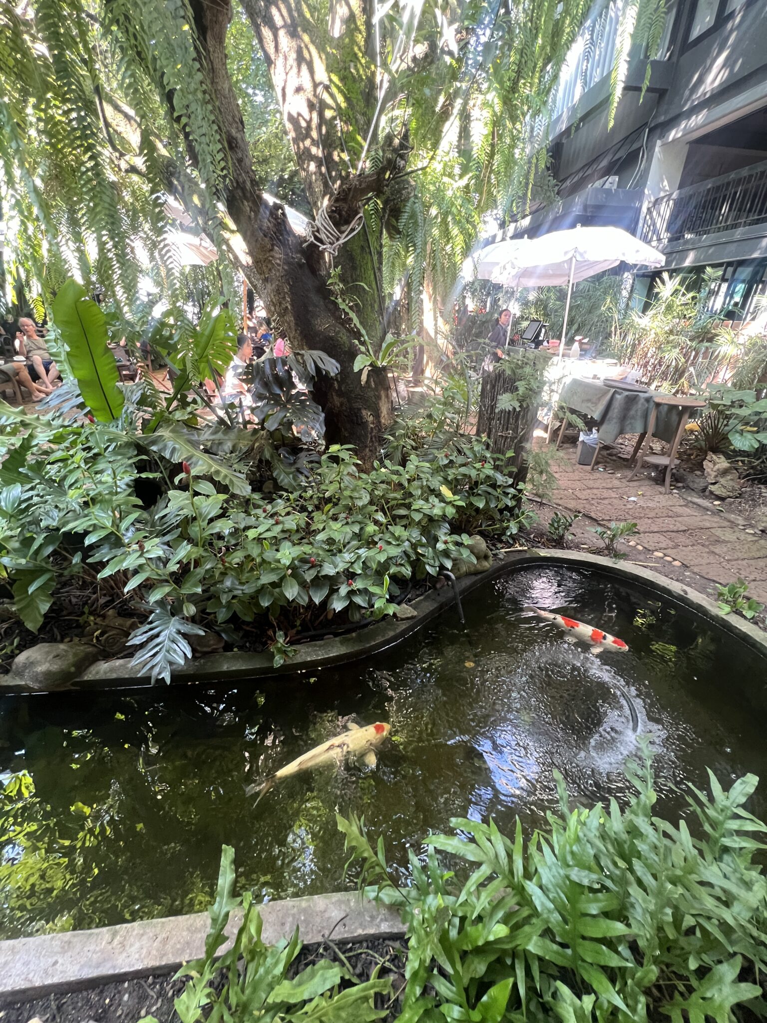Ten Cafes in Chiang Mai You Can’t Miss - Being Christina Jane